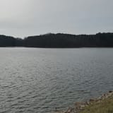 Herb Parsons Lake Green Trail, Tennessee - 830 Reviews, Map | AllTrails