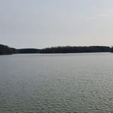 Herb Parsons Lake Green Trail, Tennessee - 830 Reviews, Map | AllTrails