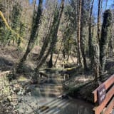 Tryon Creek Triple Bridge Loop, Oregon - 1,441 Reviews, Map | AllTrails