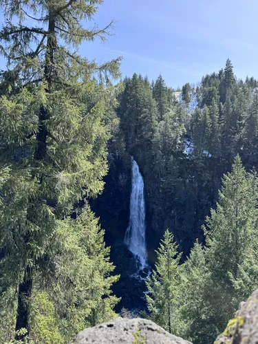 Best Hikes and Trails in Prospect State Scenic Viewpoint | AllTrails