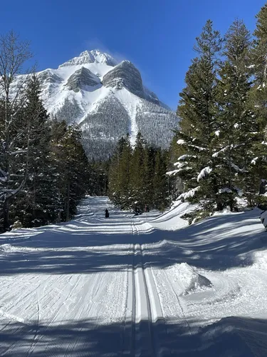 Best Easy Trails in Crowsnest Pass | AllTrails