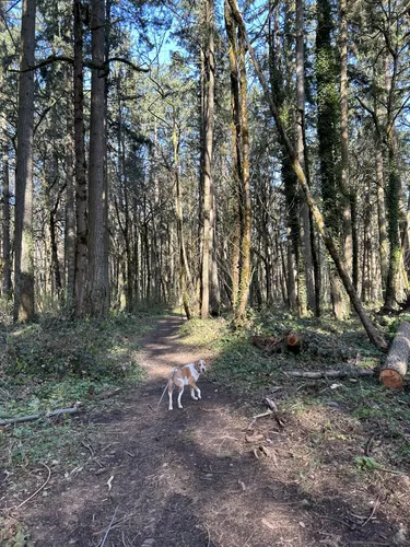 Best Hikes and Trails in Dorris Ranch Living History Farm | AllTrails