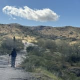 Pima Wash Trail to West Loop, Arizona - 2,173 Reviews, Map | AllTrails