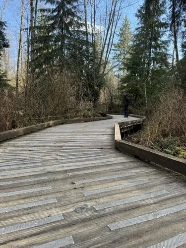 Best Walking Trails in Tynehead Regional Park | AllTrails