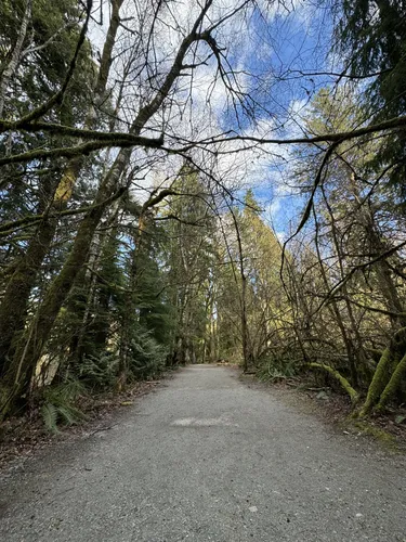 Best Walking Trails in Tynehead Regional Park | AllTrails