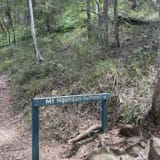 Mount Ngungun Summit Track, Queensland, Australia - 1,626 Reviews, Map ...