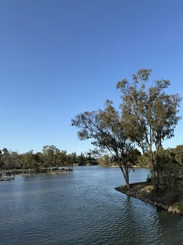 Best Wheelchair Friendly Trails in Vasona Lake County Park | AllTrails