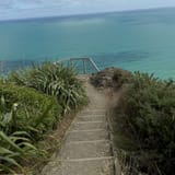 Mercer Bay Loop Track, Auckland, New Zealand - 634 Reviews, Map | AllTrails