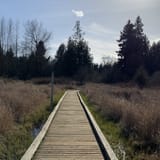 North Creek Trail, Washington - 557 Reviews, Map | AllTrails