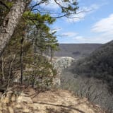 Whitaker Point Trail (Hawksbill Crag), Arkansas - 3,713 Reviews, Map ...