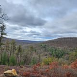 Buck Ridge Trail, Pennsylvania - 134 Reviews, Map | AllTrails