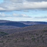 Buck Ridge Trail, Pennsylvania - 134 Reviews, Map | AllTrails