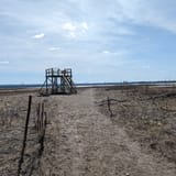 Gull Point Trail, Pennsylvania - 249 Reviews, Map | AllTrails