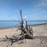 Gull Point Trail, Pennsylvania - 248 Reviews, Map | AllTrails