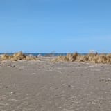 Gull Point Trail, Pennsylvania - 248 Reviews, Map | AllTrails