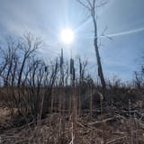 Gull Point Trail, Pennsylvania - 249 Reviews, Map | AllTrails