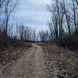 Gull Point Trail, Pennsylvania - 249 Reviews, Map | AllTrails