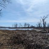 Gull Point Trail, Pennsylvania - 248 Reviews, Map | AllTrails