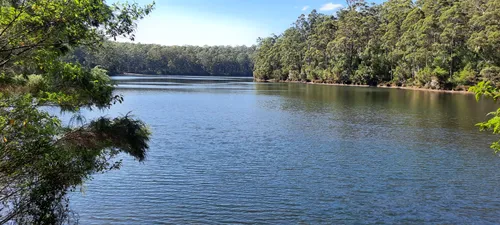 Best Hikes and Trails in Big Brook State Forest | AllTrails