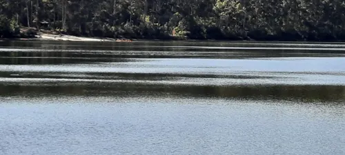 Best Hikes and Trails in Big Brook State Forest | AllTrails