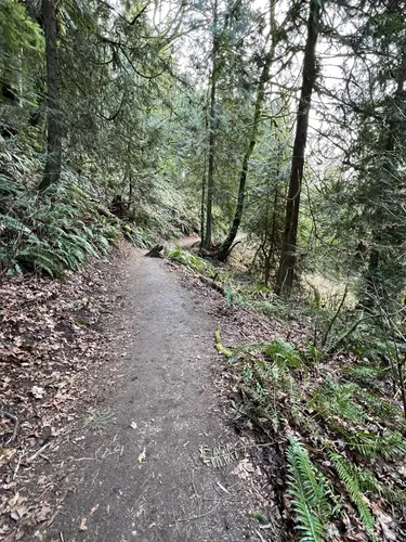 Best Hikes and Trails in O.O. Denny Park | AllTrails