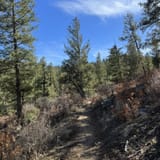 Grindstone Canyon Loop [CLOSED], New Mexico - 1,637 Reviews, Map ...