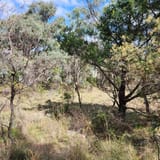 Mount Ainslie, Australian Capital Territory, Australia - 756 Reviews ...