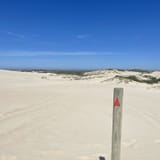 Great South West Walk , Victoria, Australia - 77 Reviews, Map | AllTrails