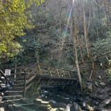 Mingo Falls Trail, North Carolina - 1,683 Reviews, Map | AllTrails