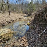 Keystone Ancient Forest Loop, Oklahoma - 710 Reviews, Map | AllTrails