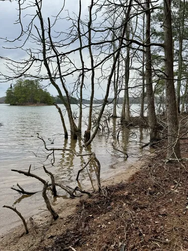 Best Hikes and Trails in Little Ridge Park | AllTrails