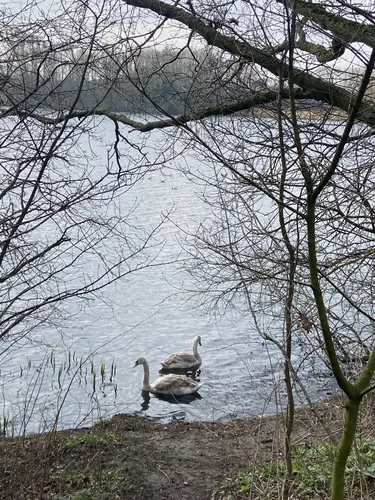 Best Hikes and Trails in Colwick Country Park | AllTrails