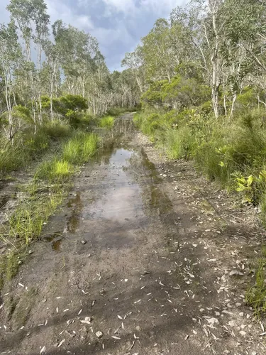 Best Hikes and Trails in Mooloolah River National Park | AllTrails