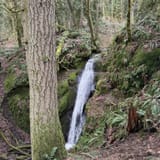 Chuckanut Falls, Washington - 626 Reviews, Map | AllTrails