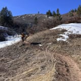 Carpenter Peak Trail, Colorado - 3,306 Reviews, Map | AllTrails