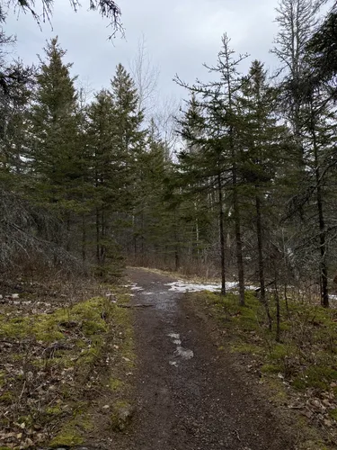 Best Hikes and Trails in Ray Berglund State Wayside | AllTrails