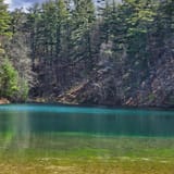 Buck Ridge Trail, Pennsylvania - 144 Reviews, Map | AllTrails