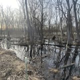 Tifft Nature Preserve Trail, New York - 699 Reviews, Map | AllTrails