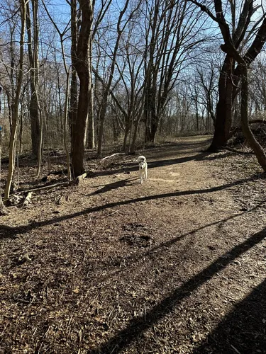 Best Hikes and Trails in Ward Acres Park | AllTrails