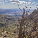 Dog Canyon Trail, New Mexico - 482 Reviews, Map | AllTrails