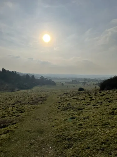 Best Hikes and Trails in Aston Rowant National Nature Reserve | AllTrails