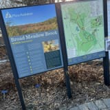 Broad Meadow Brook Trail, Massachusetts - 831 Reviews, Map | AllTrails