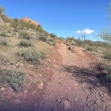 Big Butte Loop, Arizona - 2,025 Reviews, Map | AllTrails