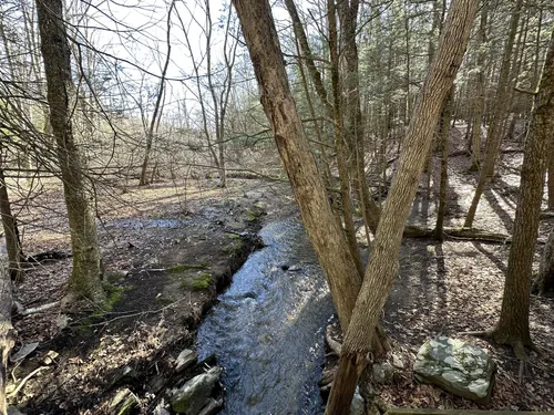 Best Hikes and Trails in Emily Griffith Beardsley Preserve | AllTrails