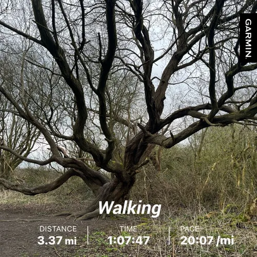 Best Hikes and Trails in Pennington Flash Country Park | AllTrails