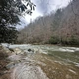 Laurel River Trail, North Carolina - 1,437 Reviews, Map | AllTrails