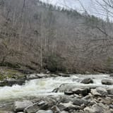 Laurel River Trail, North Carolina - 1,437 Reviews, Map | AllTrails