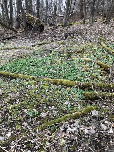 Best Hikes and Trails in High Cliff State Park | AllTrails