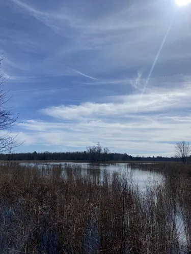 Best Hikes and Trails in Three Rivers Wildlife Management Area | AllTrails