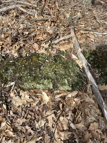 Best Hikes and Trails in Three Rivers Wildlife Management Area | AllTrails